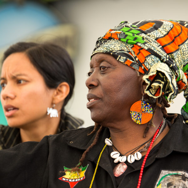 Celebrate Urban Birds - Noise Project