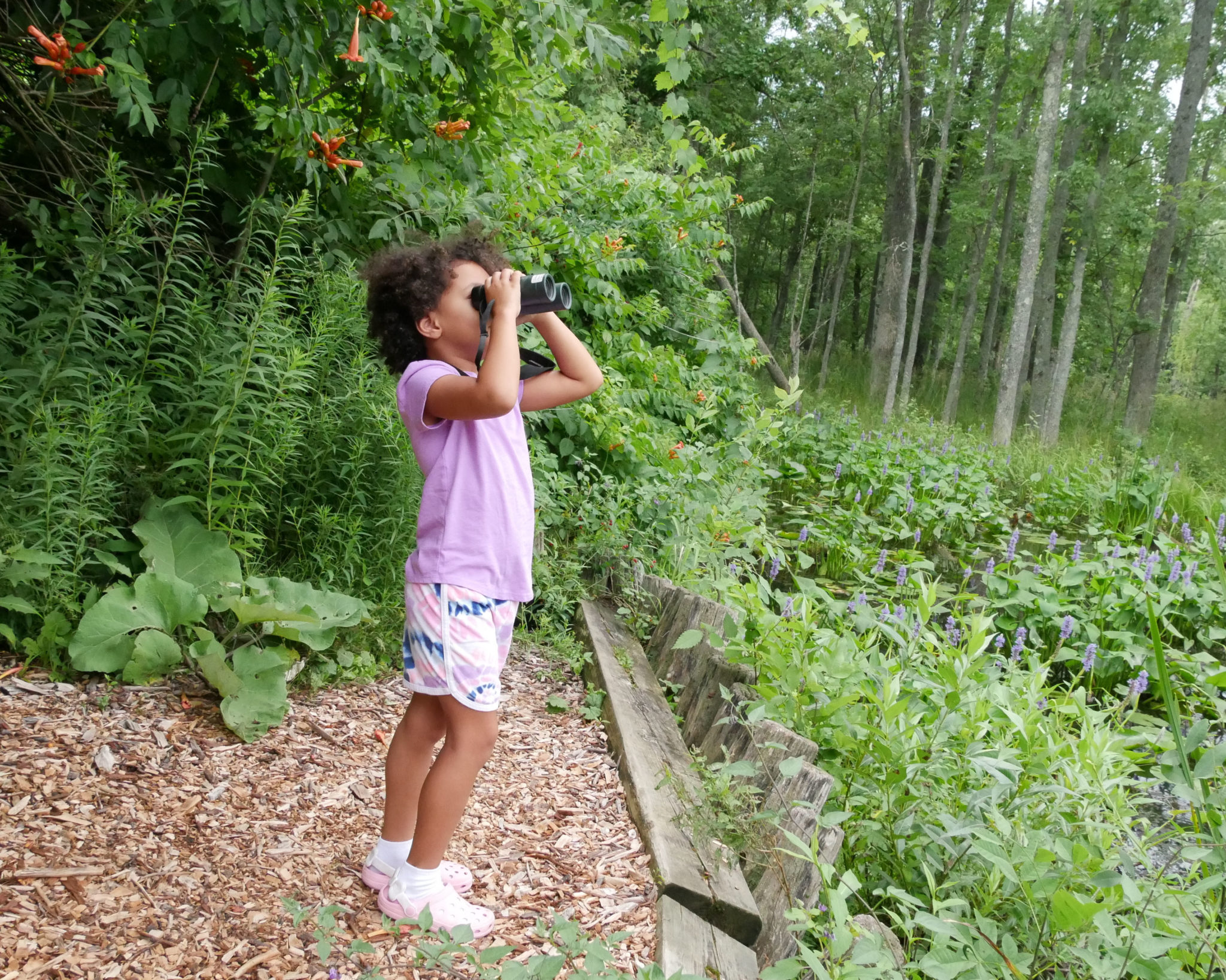 Homepage - Noise Project